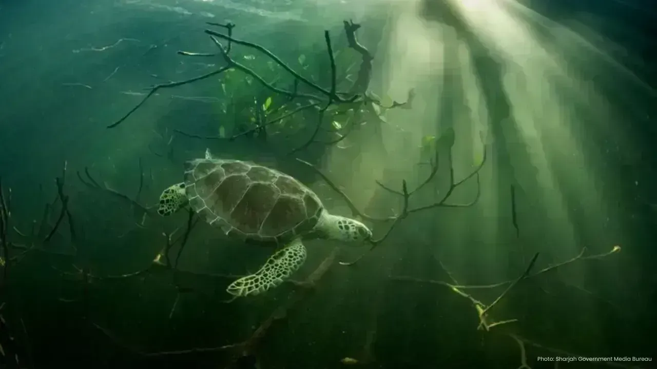 Conservation Summit at Xposure 2026: A Call for Ocean Protection